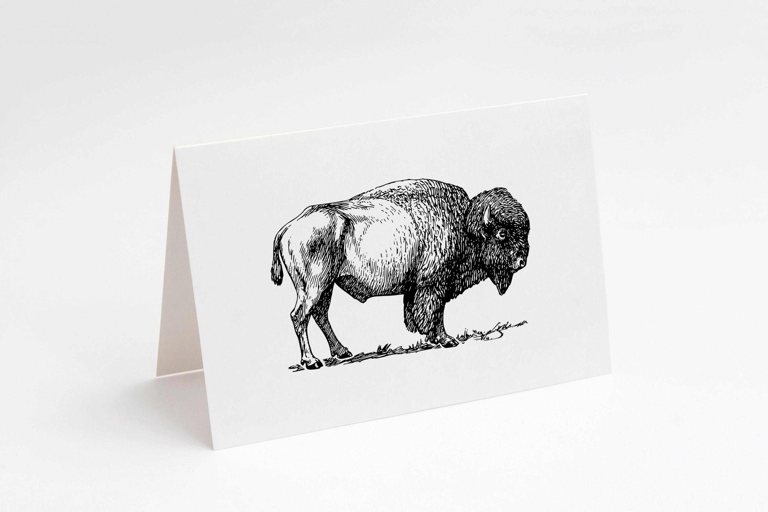 Buffalo Cards, Minimalist Bison Folded Note Cards, Set of 10 Blank Note ...