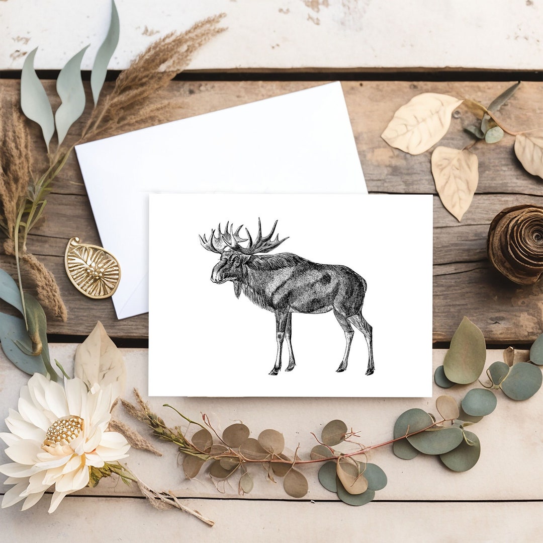 Moose Cards With Envelopes, Alaska Wildlife, Set of 10 Blank Note Card ...