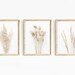 Boho Pampas Grass Print Farmhouse Wall Art Neutral Summer - Etsy