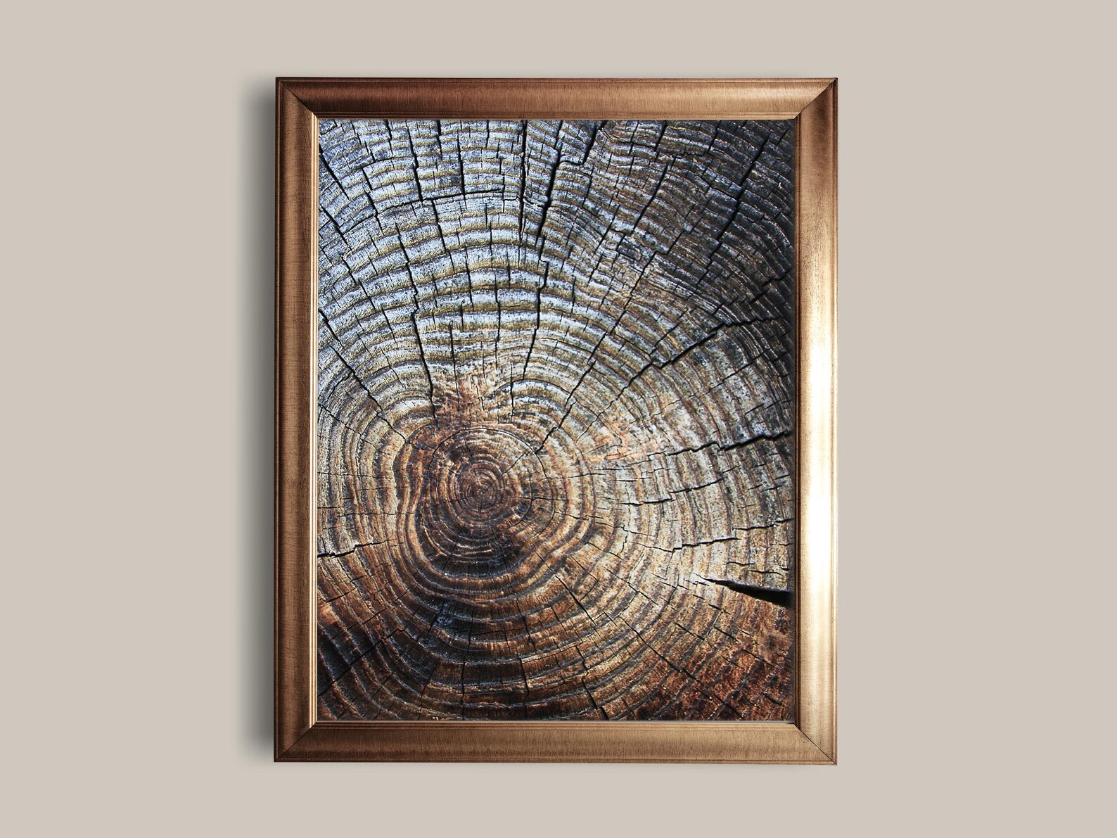 Wood Log Pile Prints Set of 3 Farmhouse Wall Art Tree Ring - Etsy