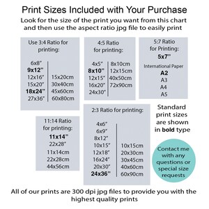 Boho Pampas Grass Print Farmhouse Wall Art Neutral Summer - Etsy