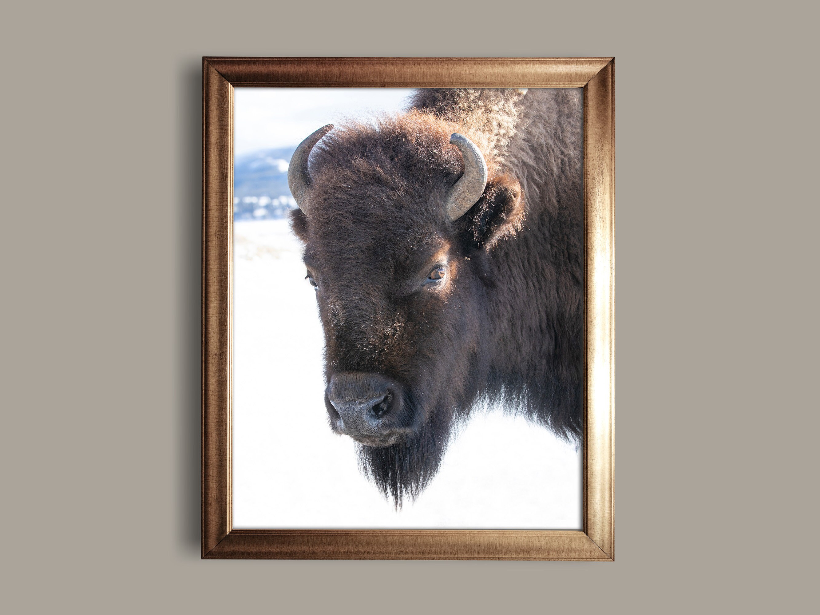 Bison Print Set of 3, Western Prints, Buffalo Wall Art, Rustic Decor ...