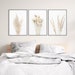 Boho Pampas Grass Print, Farmhouse Wall Art, Neutral Summer Gallery Set ...