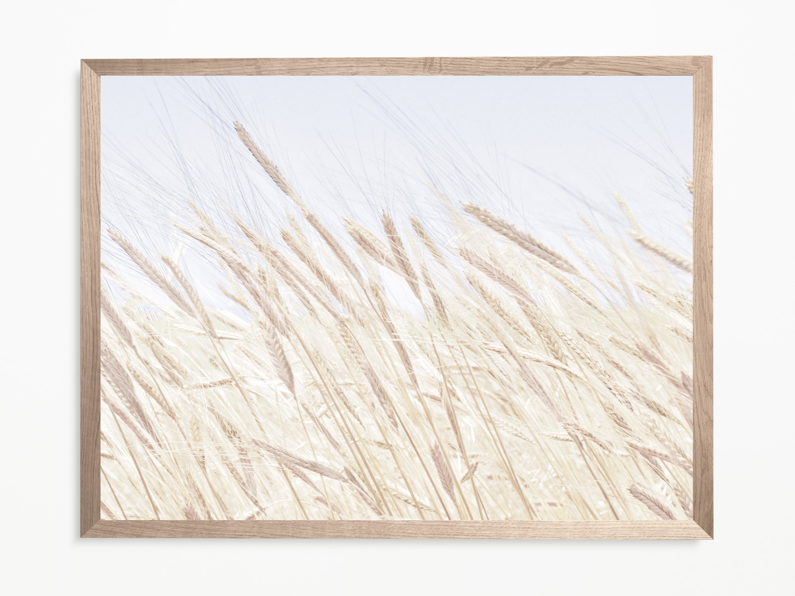 Boho Pampas Grass Print, Farmhouse Decor, Large Wall Art, Wheat Field ...