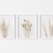 Boho Pampas Grass Print, Farmhouse Wall Art, Neutral Summer Gallery Set ...