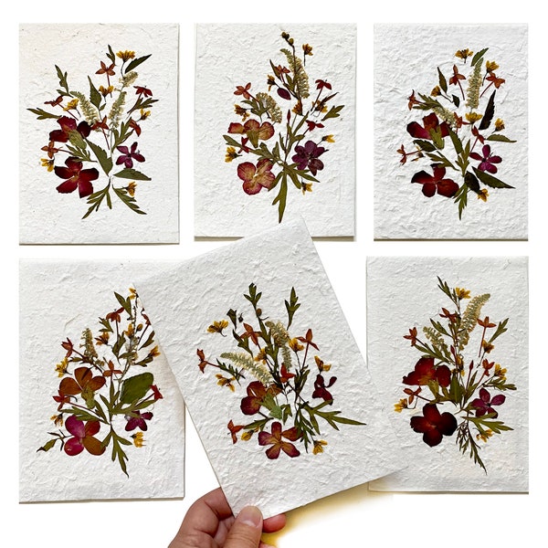 Pressed Tropical Flowers - Etsy