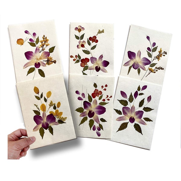Pressed Tropical Flowers - Etsy