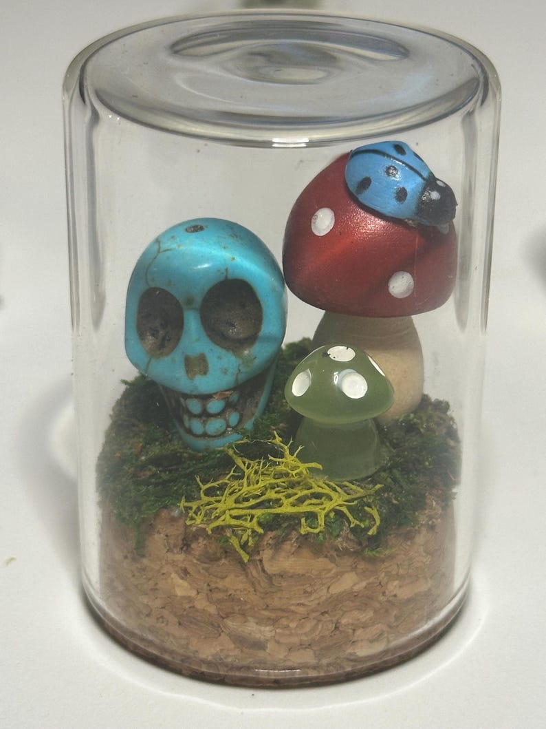 Mini Turquoise Skull Terrarium - Etsy