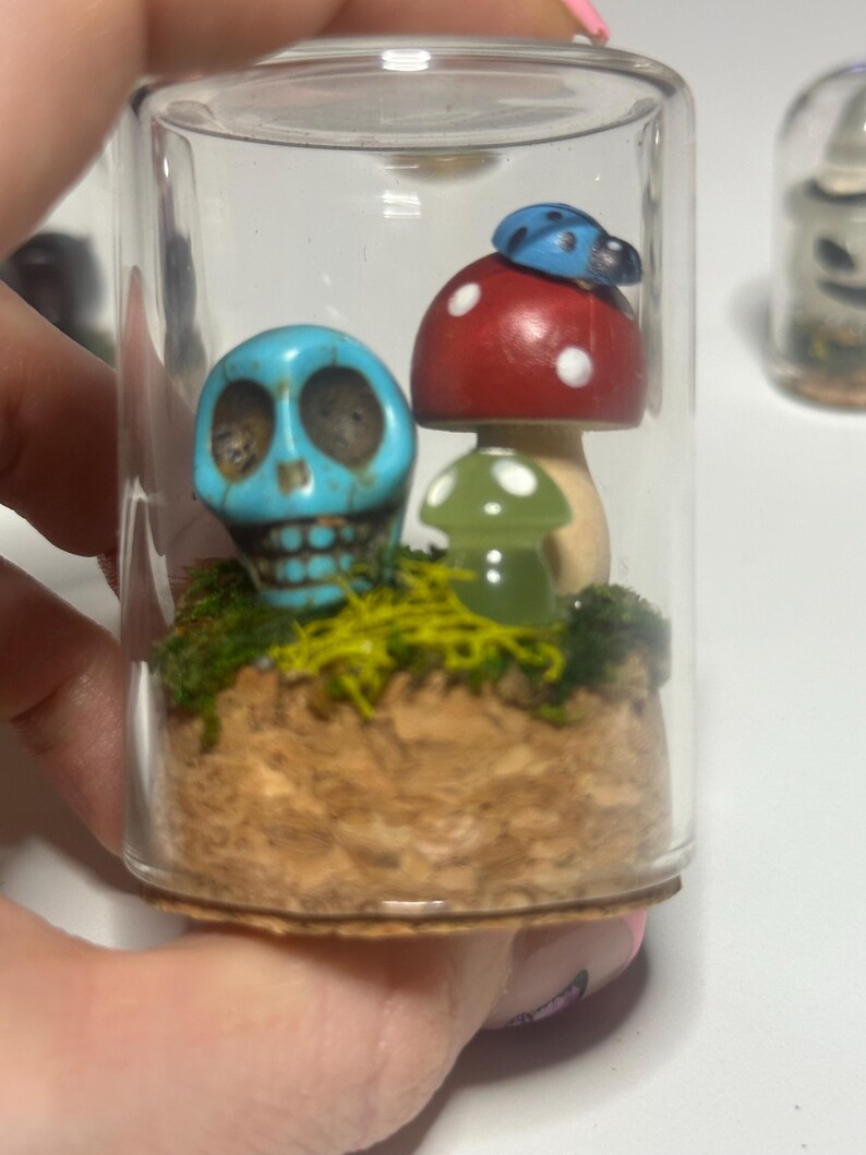 Mini Turquoise Skull Terrarium - Etsy