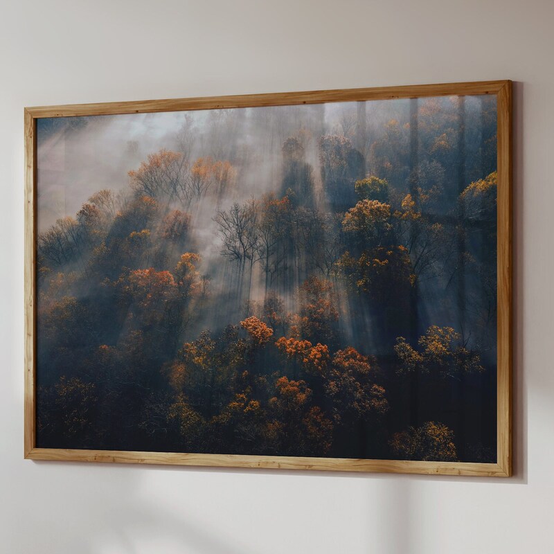 Forest Picture - Etsy