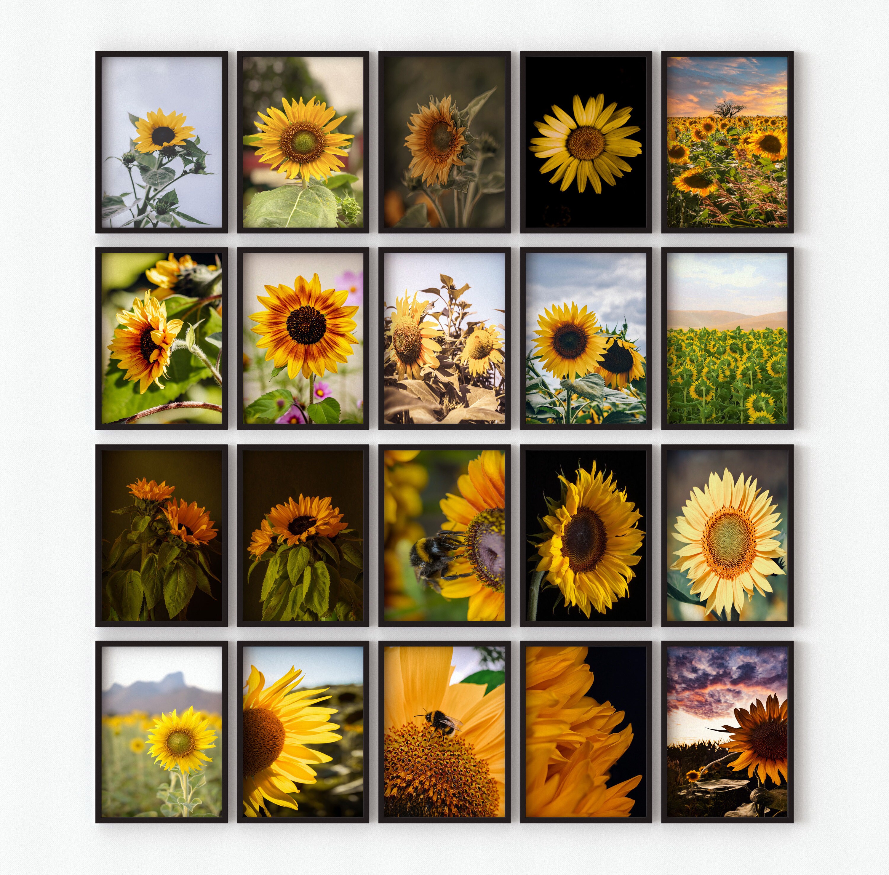 Set of 100 Sunflower Prints - Sunflower Wall Art Set - Sunflower ...