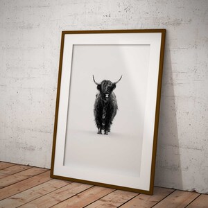 Sweden Highland Cow Snowy Black and White Photography Print - Swedish ...