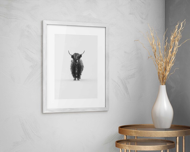 Sweden Highland Cow Snowy Black and White Photography Print - Swedish ...