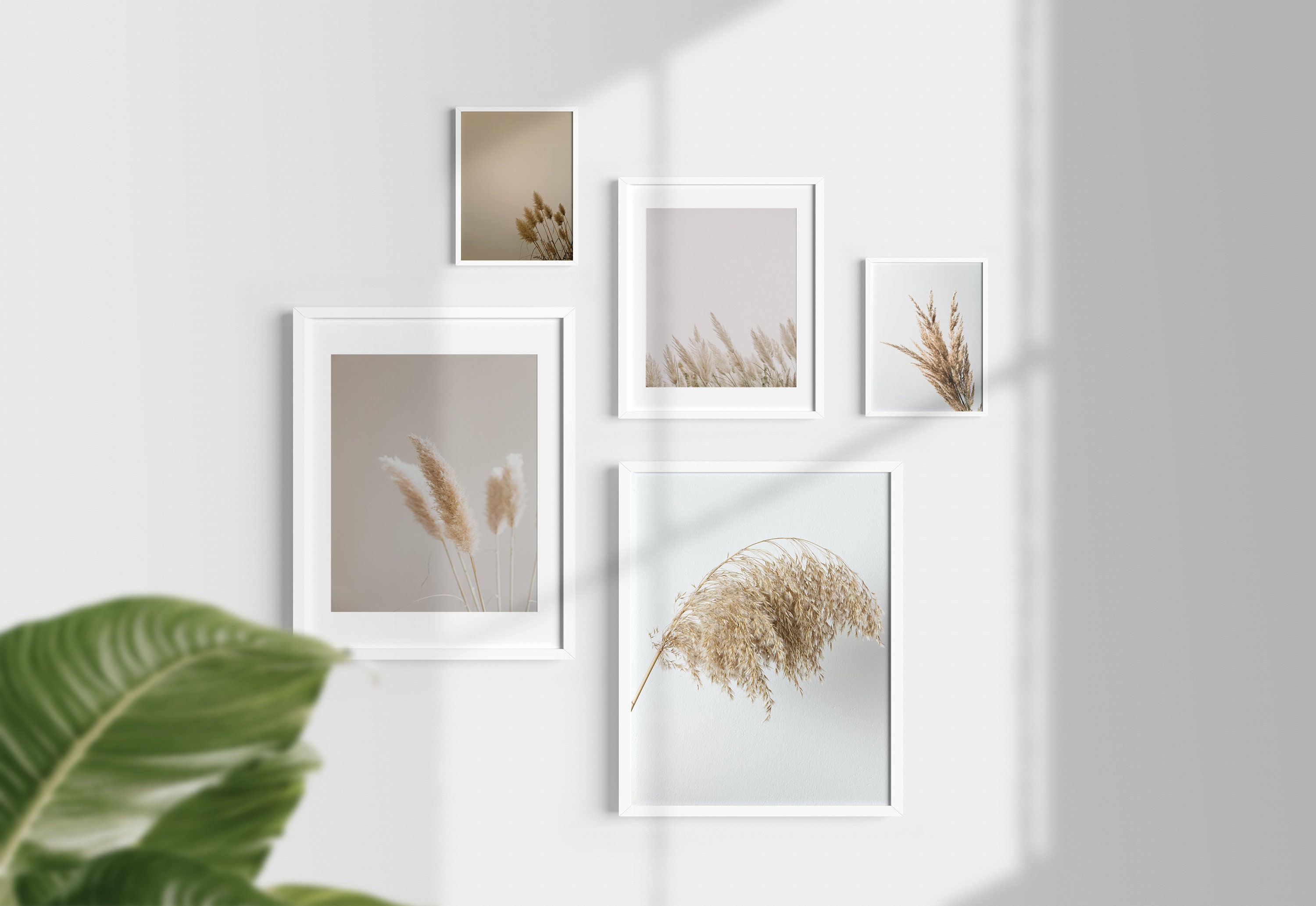 Set of 5 Neutral Dried Grass Photo - Pampas Grass Gallery Wall Prints ...