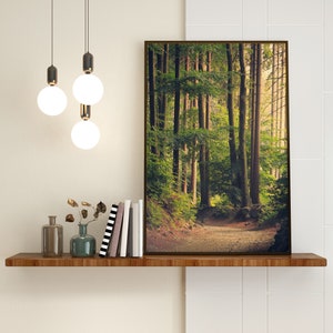 Green Forest Printable Photo Nature Digital Print Rustic - Etsy