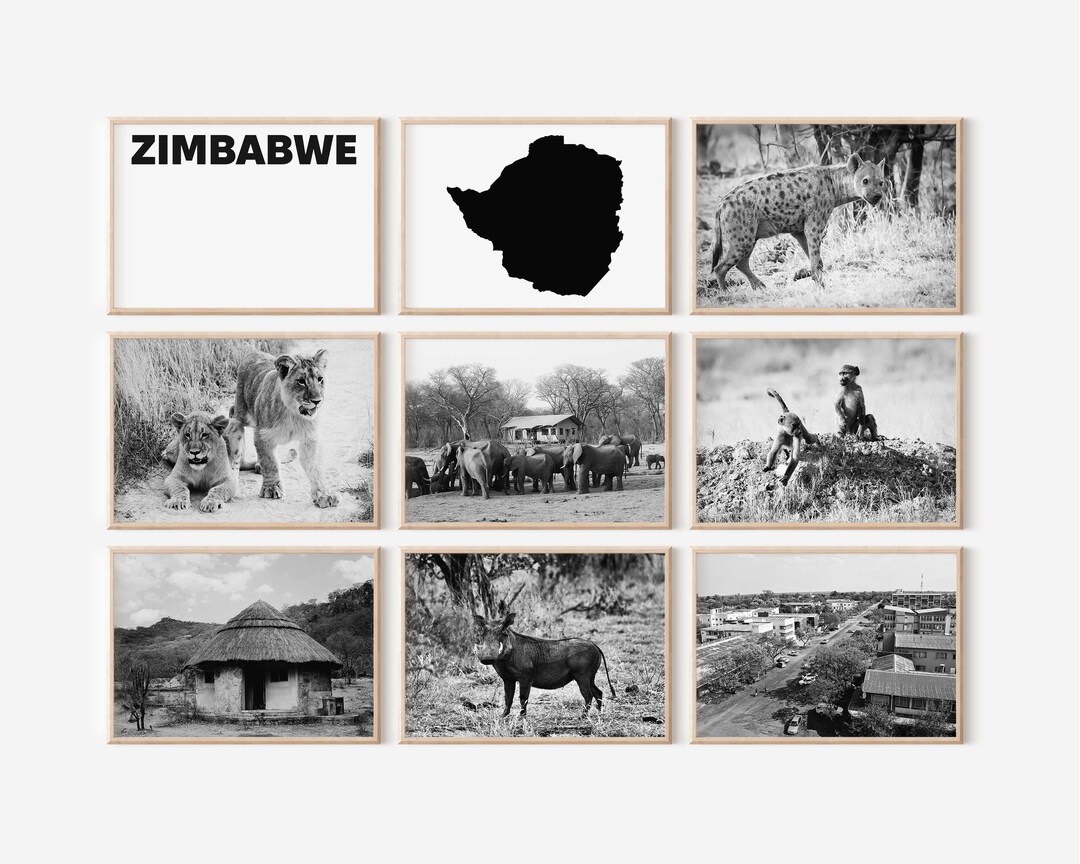 Zimbabwe Landscape Black and White Photograph 9 Piece Wall Art ...