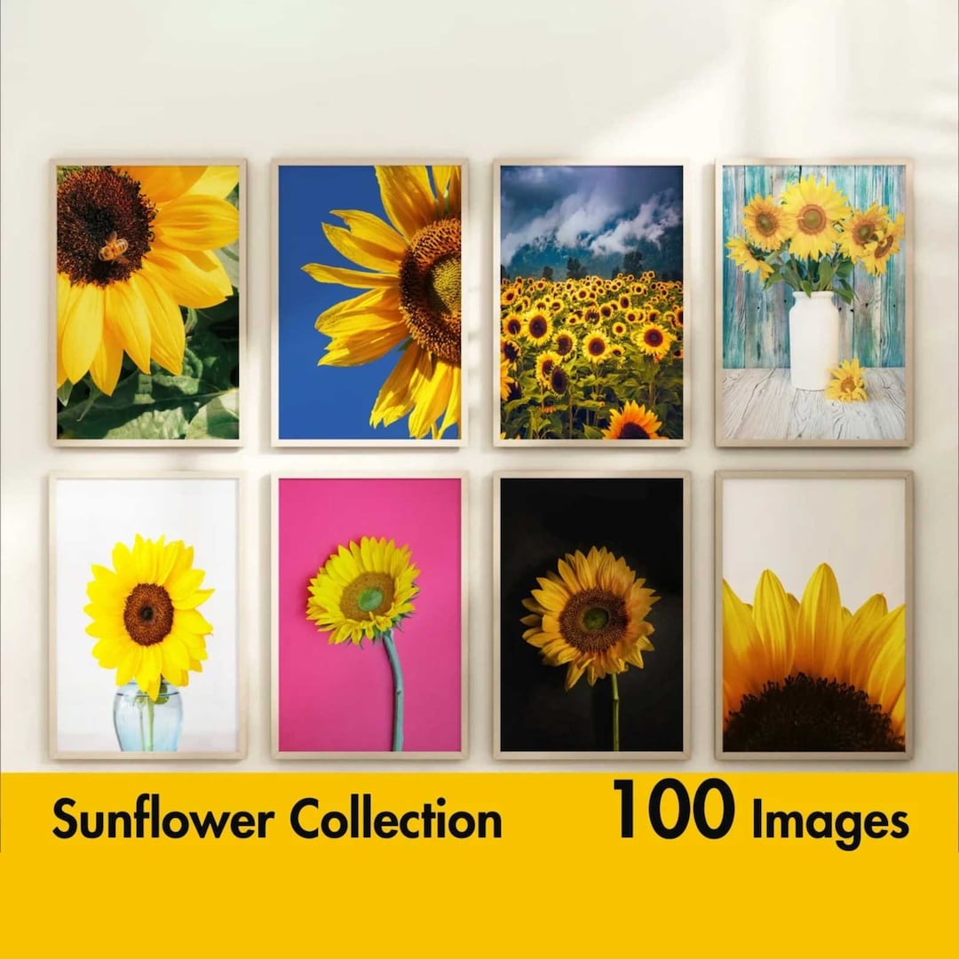 Set of 100 Sunflower Prints - Sunflower Wall Art Set - Sunflower ...