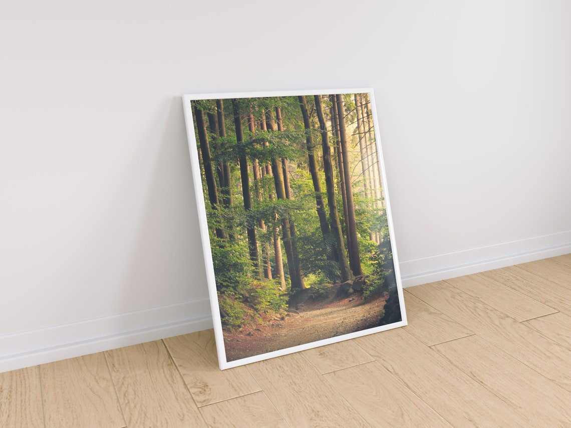 Green Forest Printable Photo Nature Digital Print Rustic - Etsy