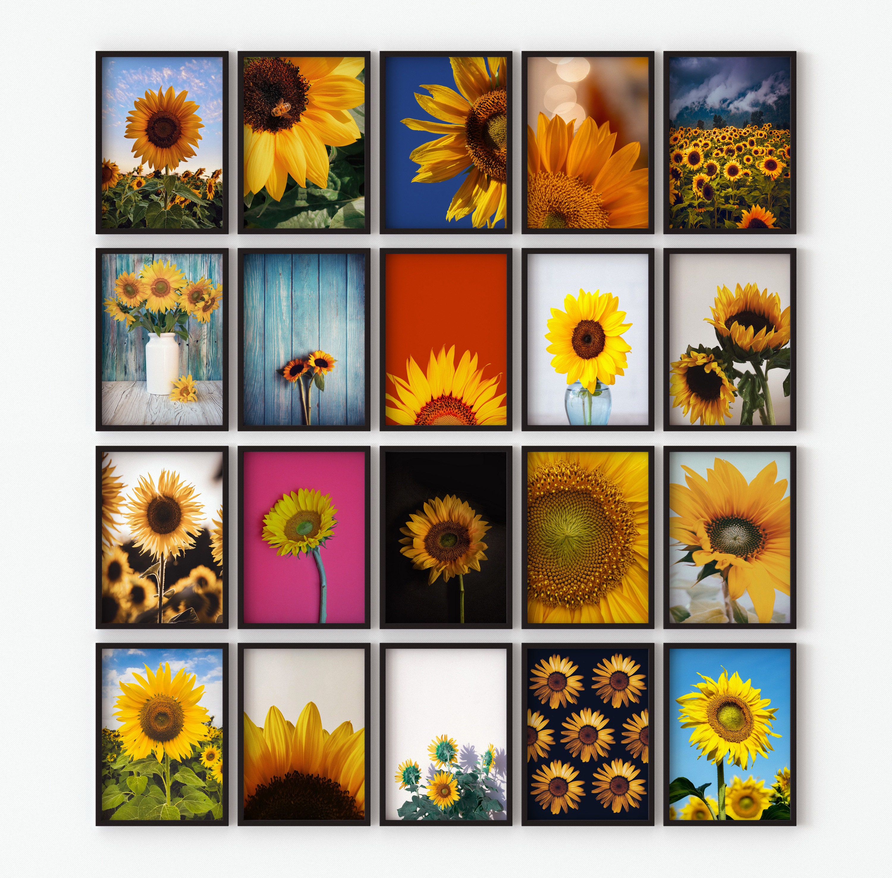 Set of 100 Sunflower Prints - Sunflower Wall Art Set - Sunflower ...