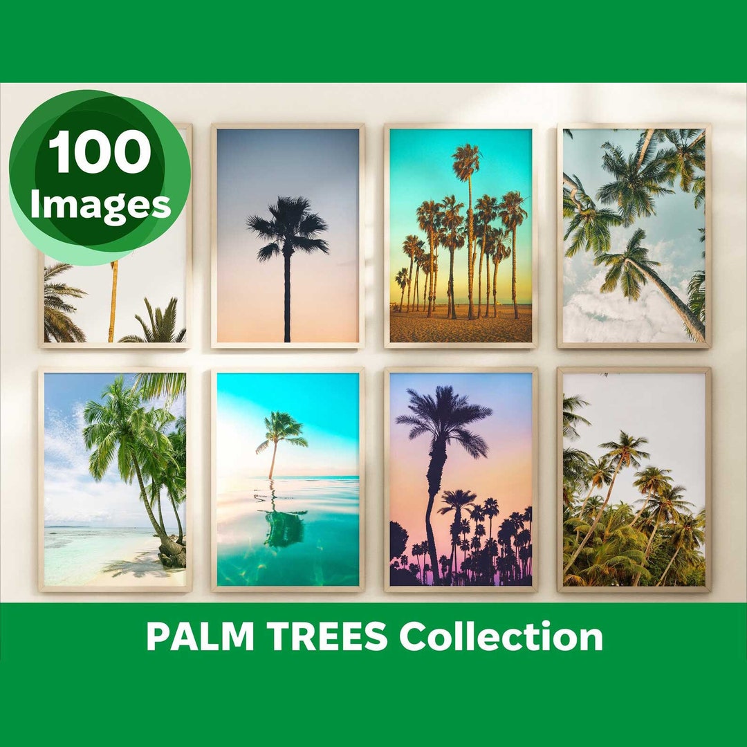 Set of 100 Palm Trees Prints - Palm Trees Wall Art Set - Beach Gallery ...