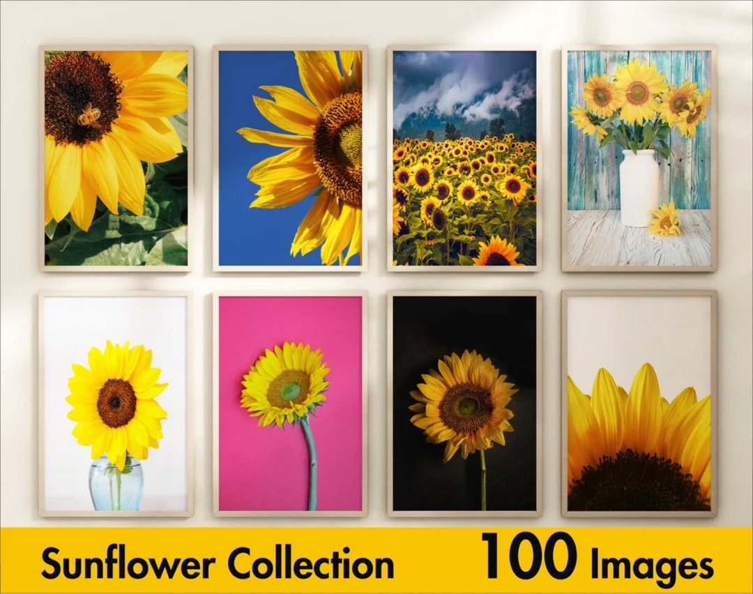 Set of 100 Sunflower Prints Sunflower Wall Art Set - Etsy