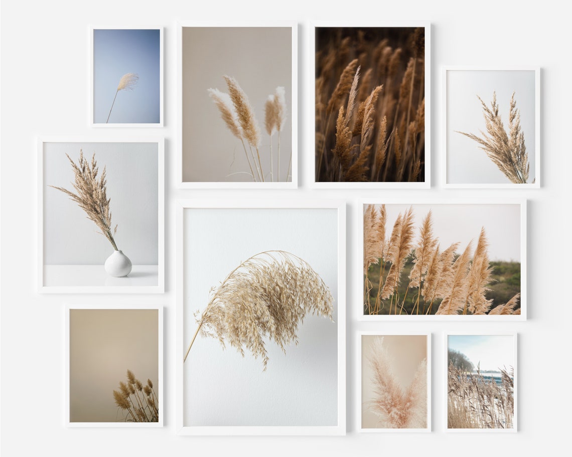Pampas Grass Gallery Wall Prints Set of 25 - Neutral Dried Grass Photo ...