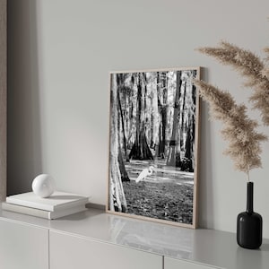 Louisiana Black and White Photo 8 Piece Wall Art LA – Louisiana Set of ...