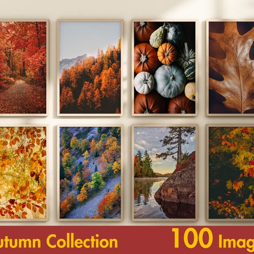 Fall Wall Art Autumn Gallery Wall Set of 16 Autumn Printable - Etsy