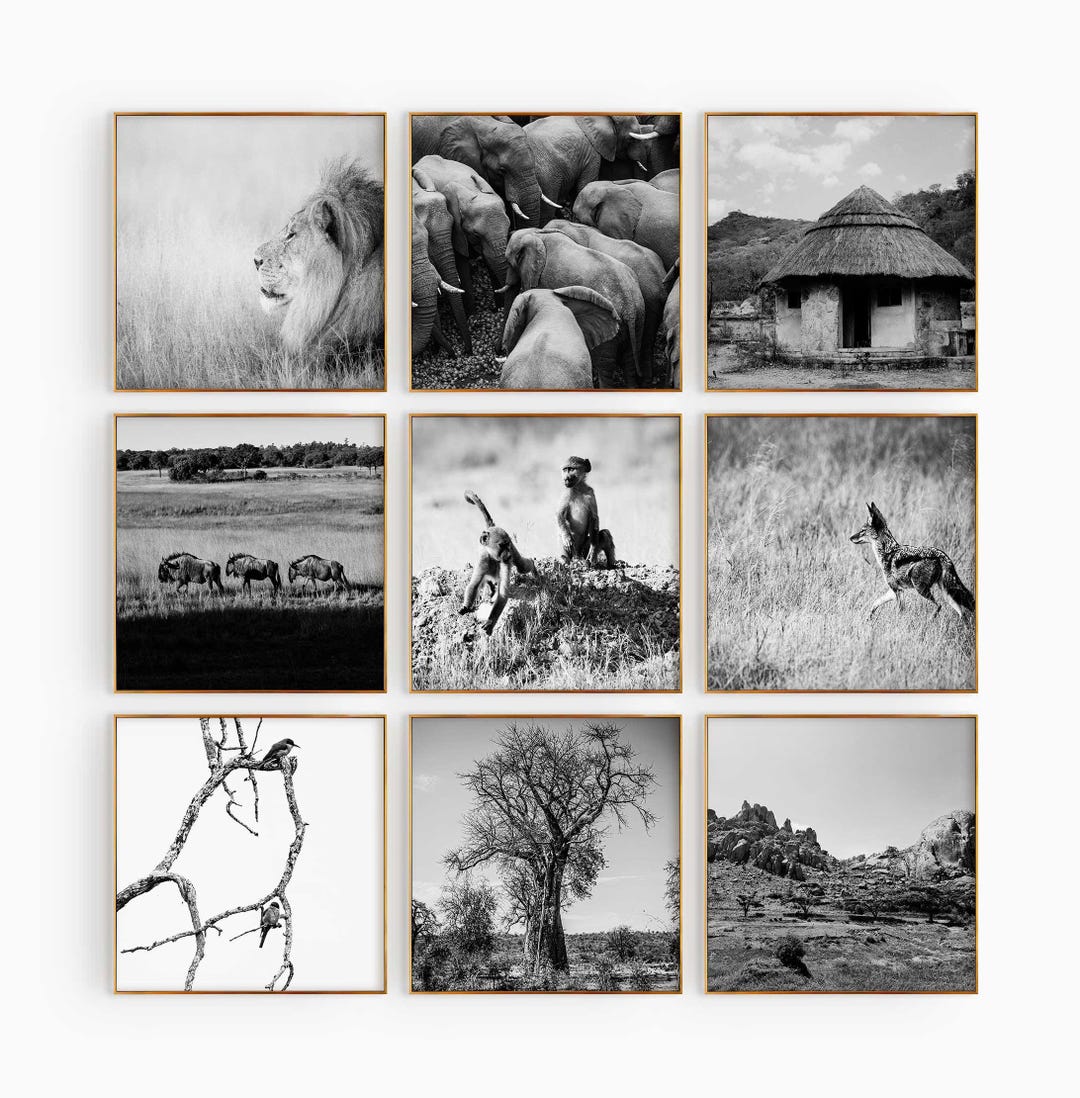 Zimbabwe Minimalist Set of 9 Square Prints – Zimbabwe Black and White ...