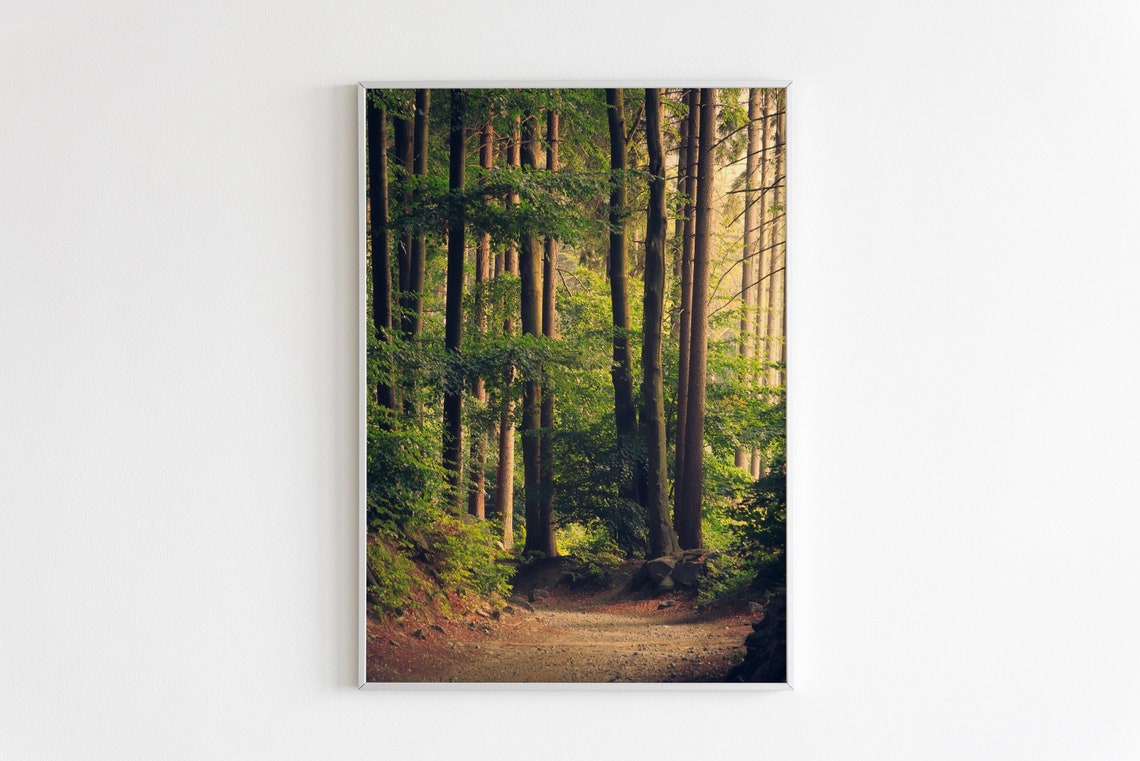 Green Forest Printable Photo Nature Digital Print Rustic - Etsy