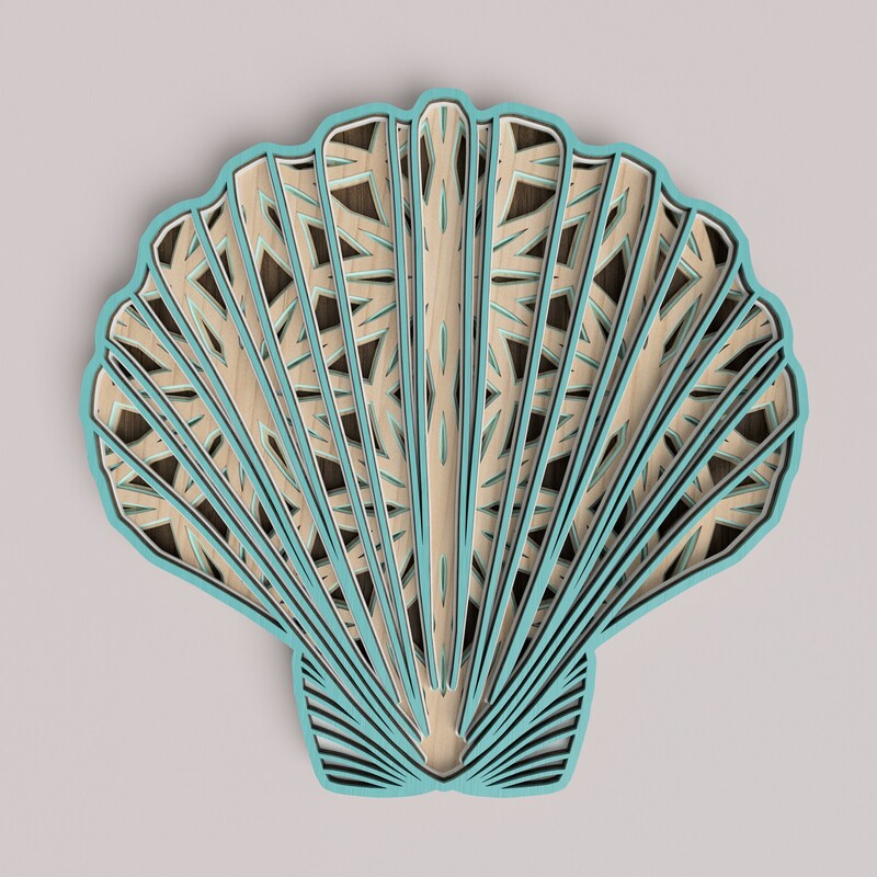 Cut Seashells - Etsy