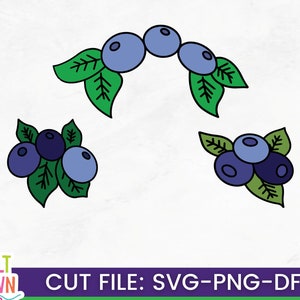 Blueberries Svg- Blue Berry Cut File for Cricut- Fruit Clip Art ...