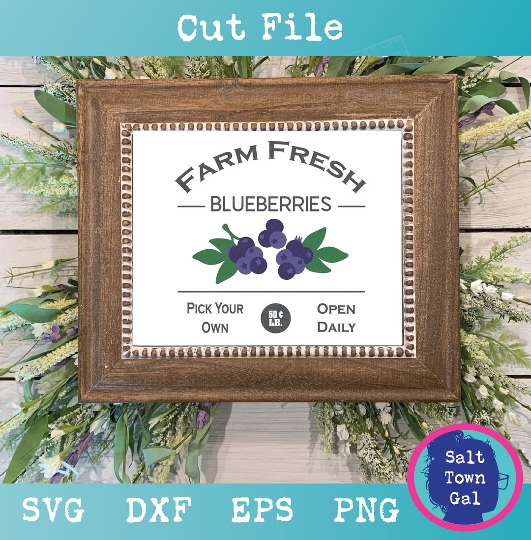 Farm Fresh Blueberries Svg-blueberry Sign Svg-pick Your Own Svg-farm ...