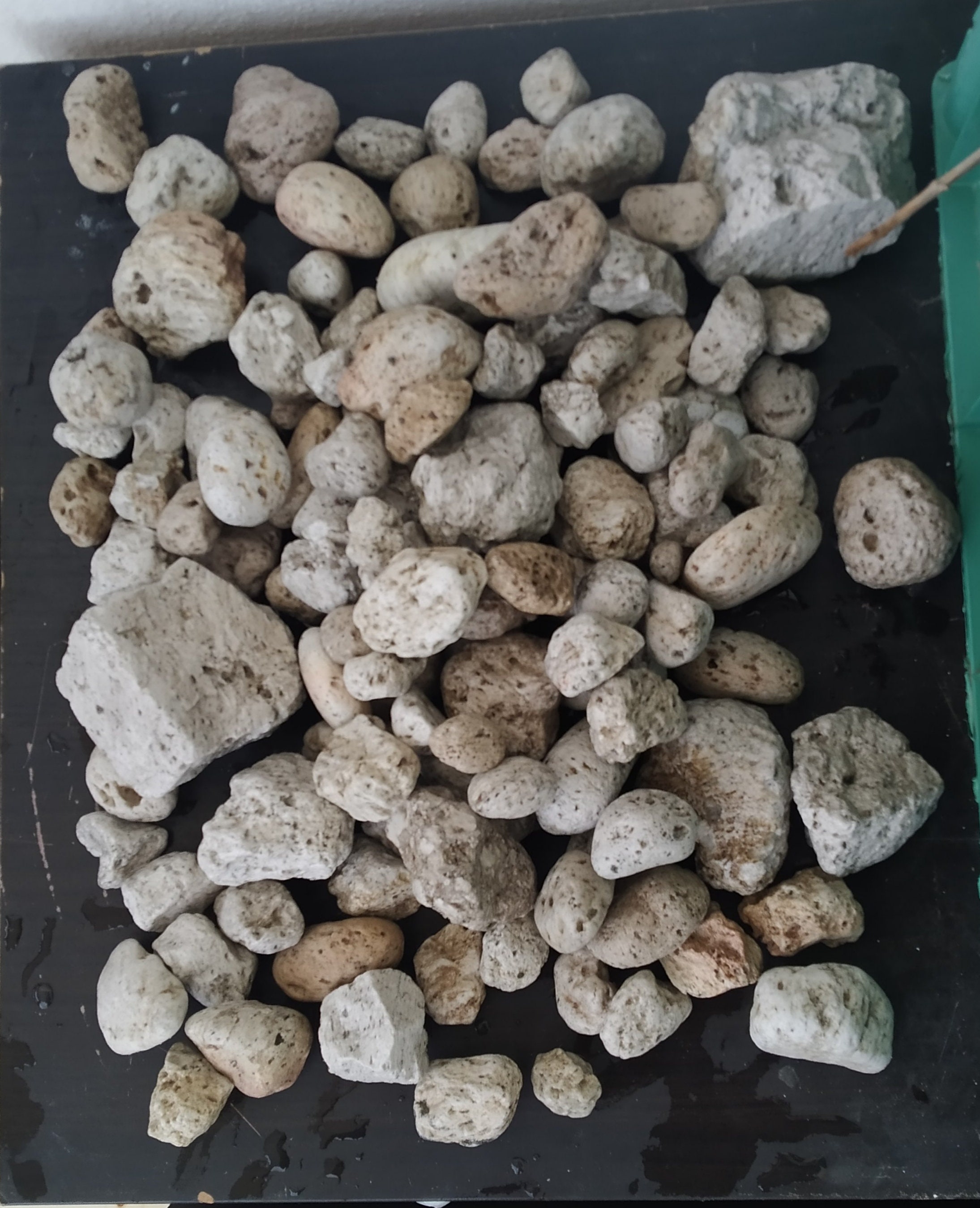 Pumice , Lava Stone ,floating Stone ,one Quarter - Etsy