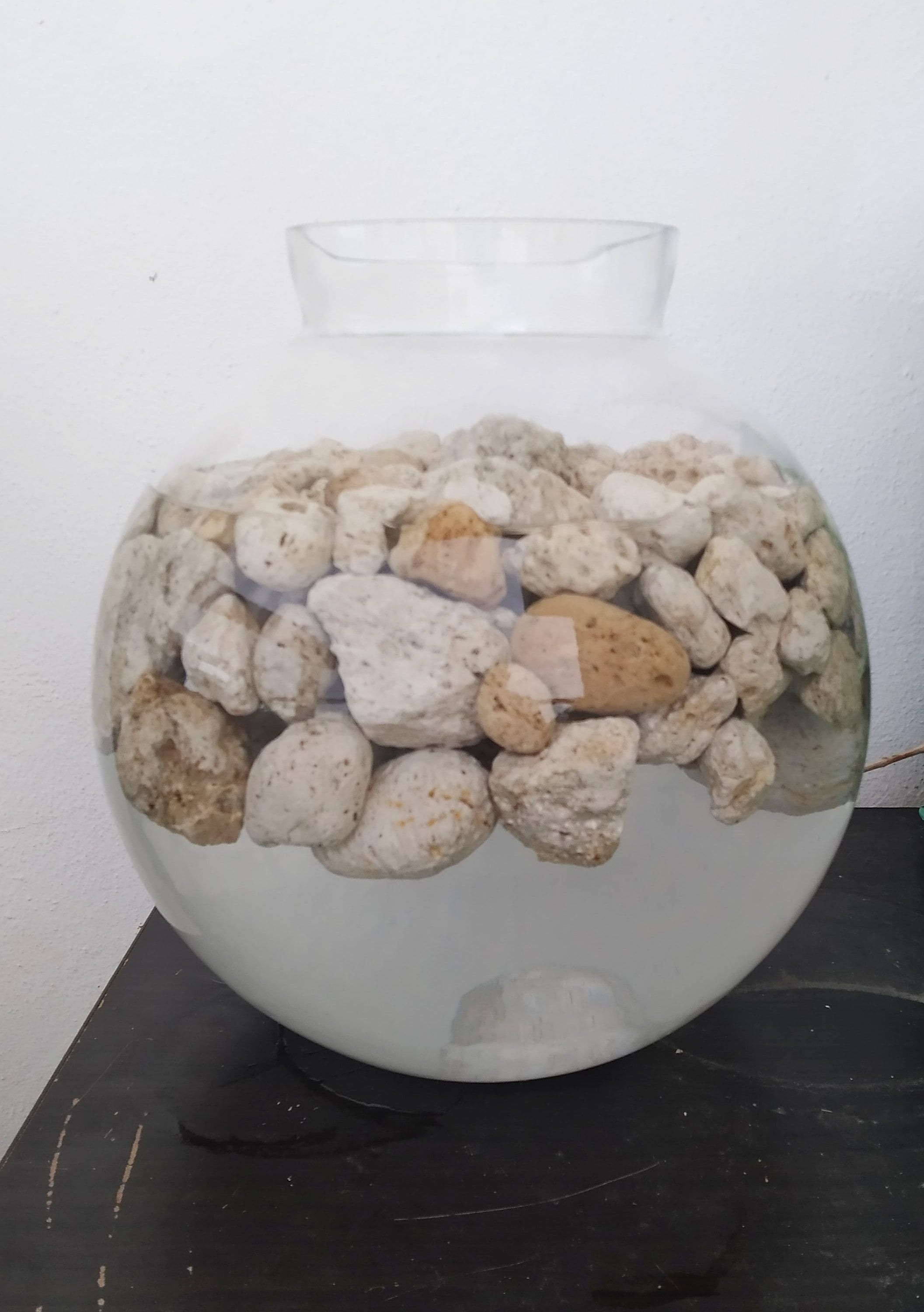 Pumice , Lava Stone ,floating Stone ,one Quarter - Etsy