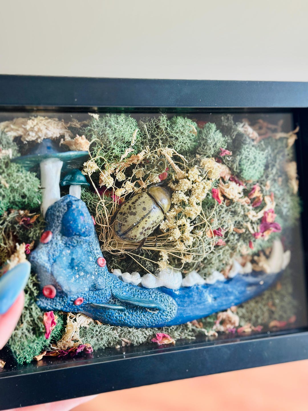 Coyote Shadow Box - Etsy