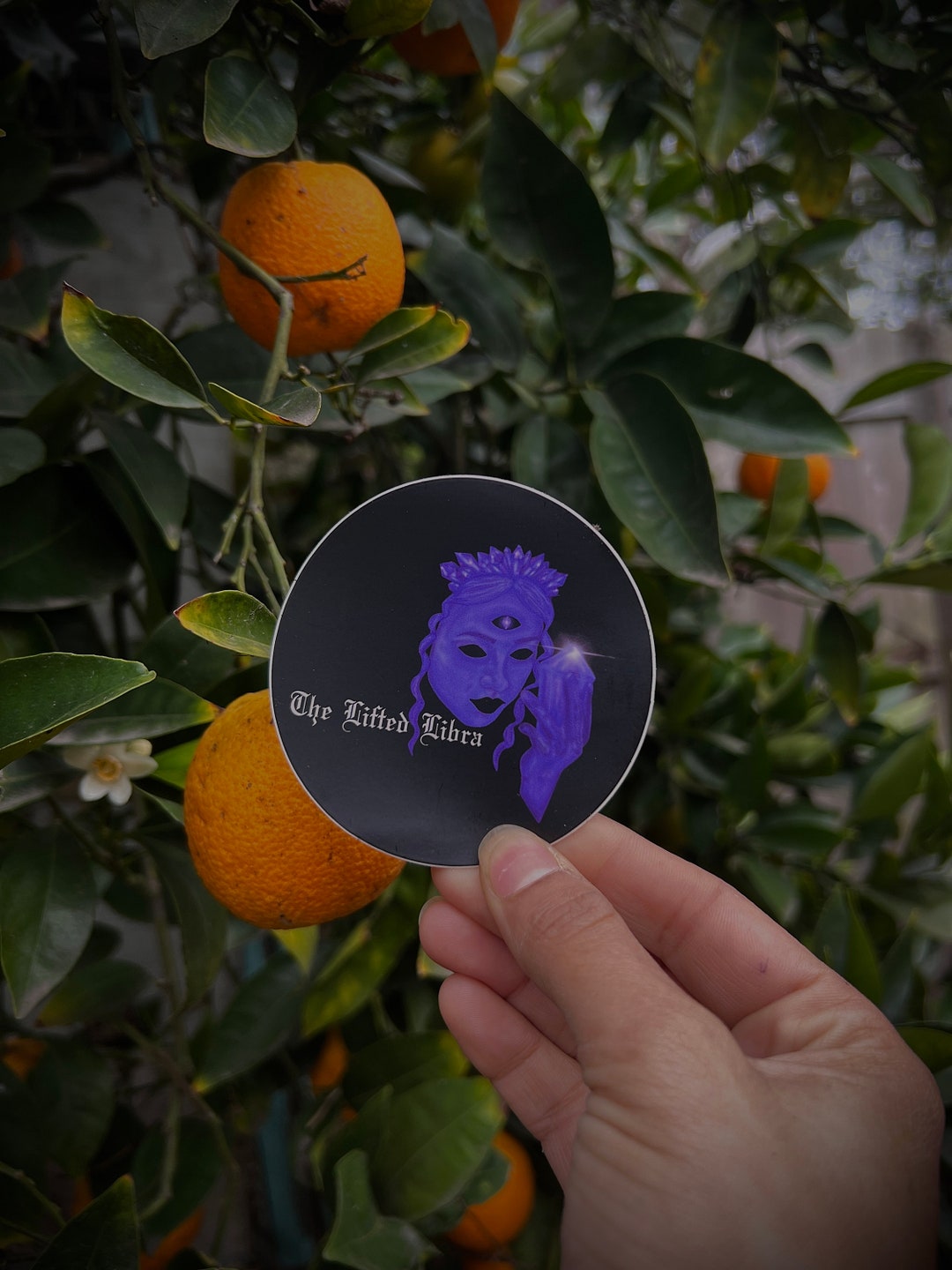 Lifted Logo Sticker - Etsy