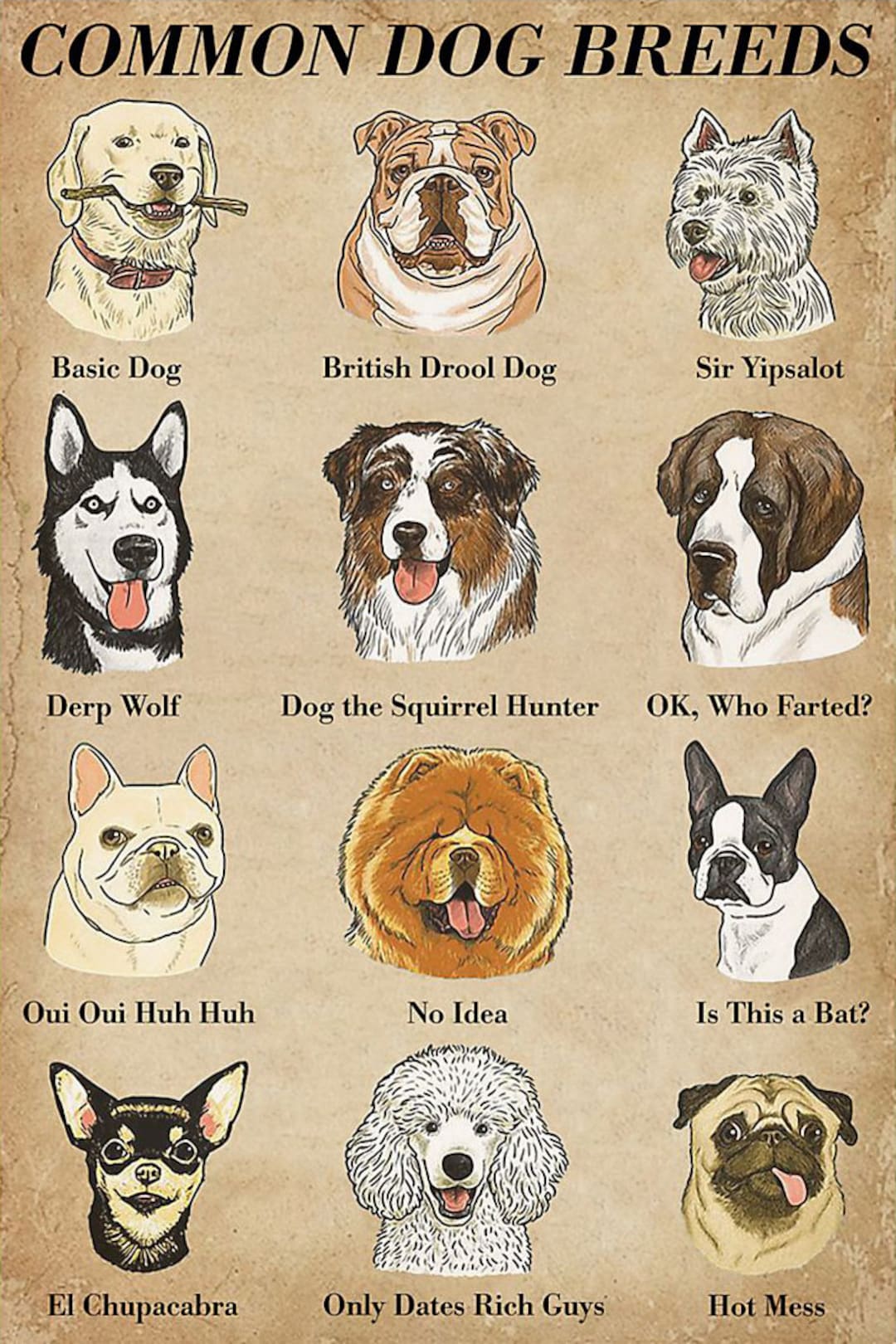Dog Breeds Poster