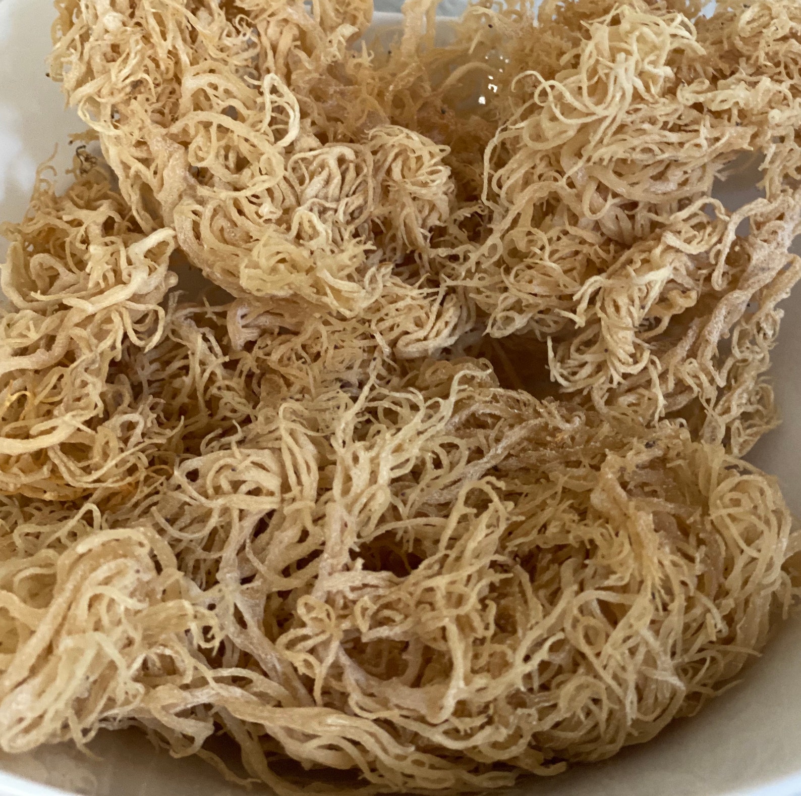 Dried Irish Sea moss | Etsy