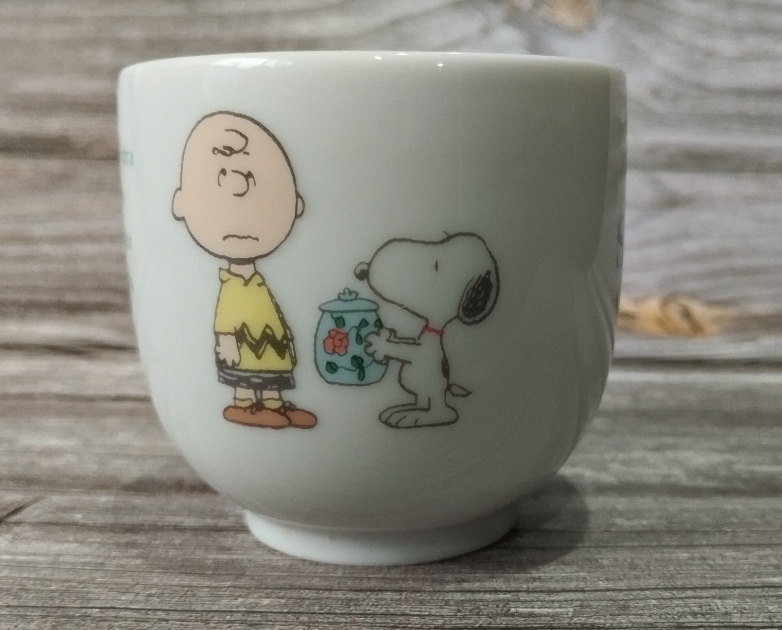 Vintage Snoopy and Charlie Brown Ceramic Mug - Retro Peanuts Gift - Etsy