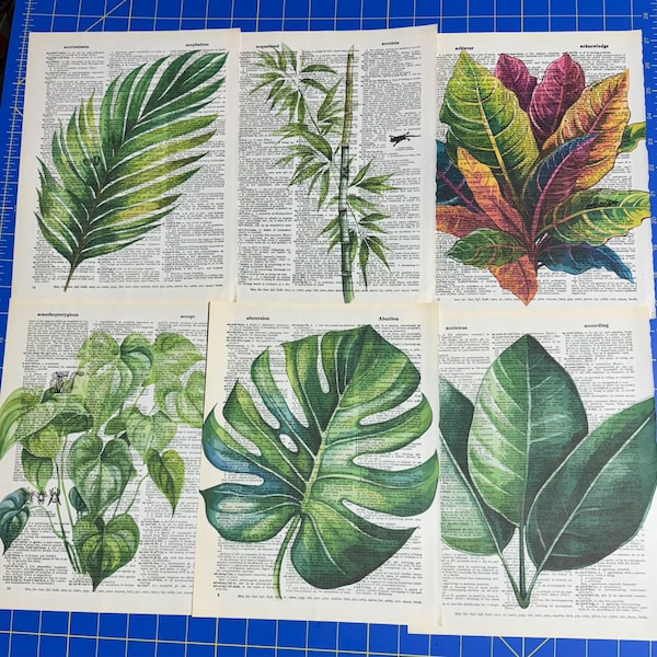 Dictionary Theme - Etsy