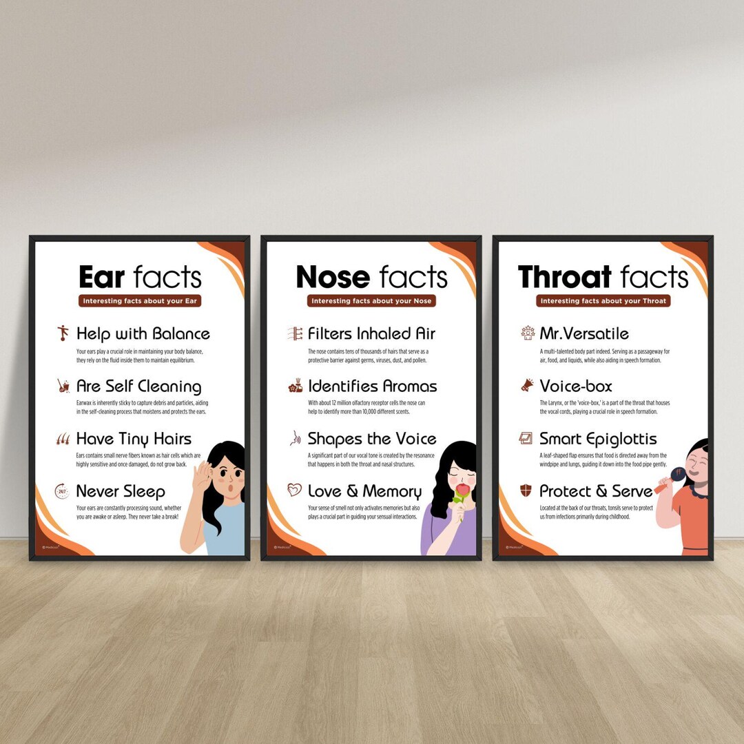 ENT Posters for Clinics Hospitals | Ear, Nose, Throat Wall Art | Set of ...