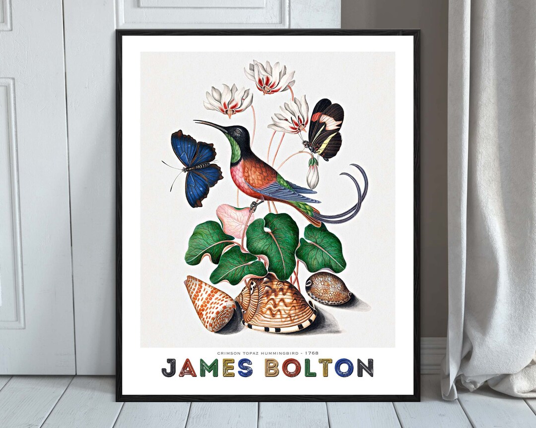 James Bolton English Art 1768 Vintage Famous Painting Fine - Etsy