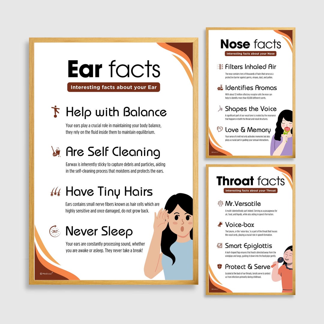 ENT Posters for Clinics Hospitals Ear, Nose, Throat Wall Art 12x18inch ...