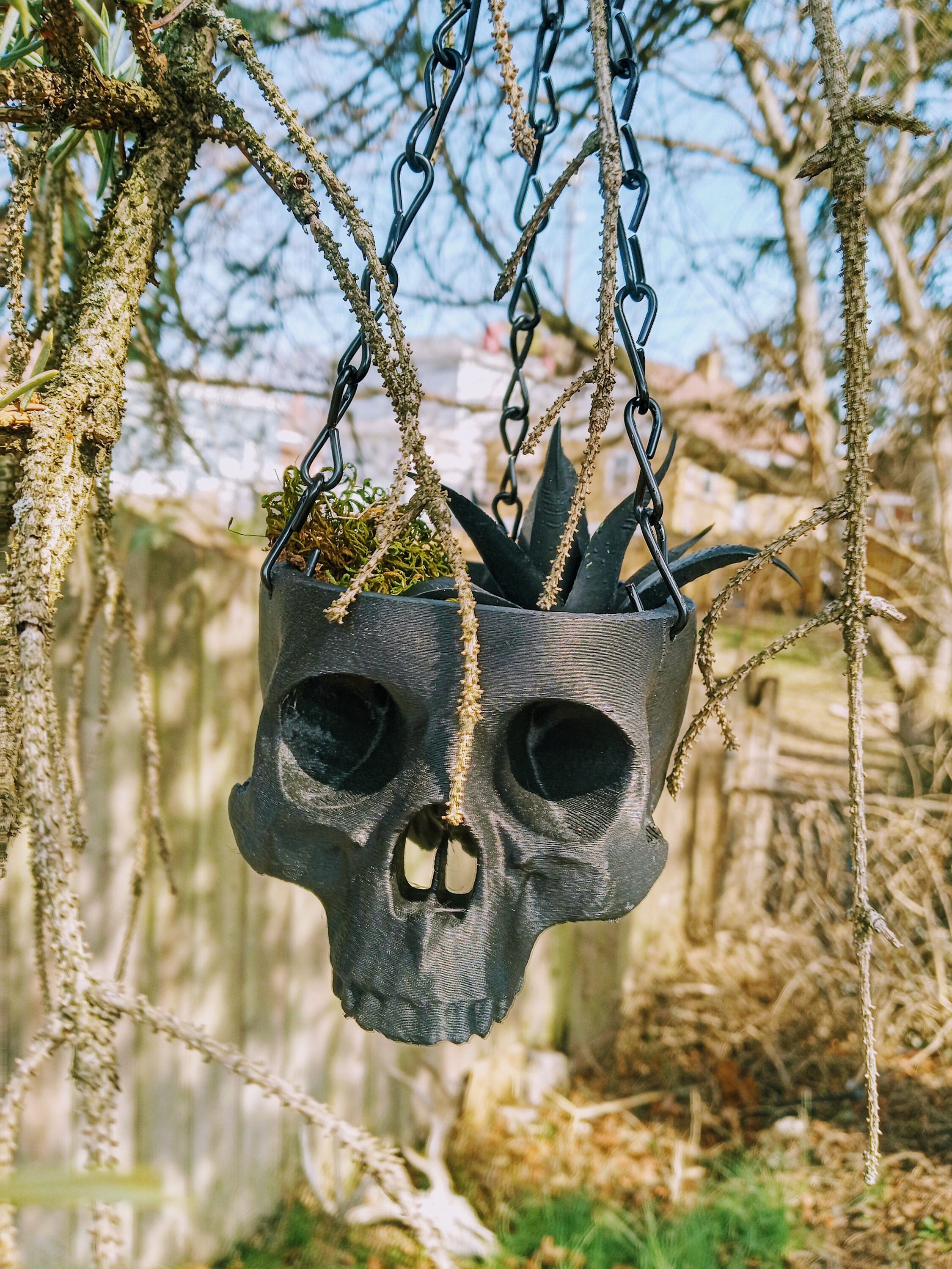 Skull Planters, Hanging Skull Planter, Skull Planter, Planter, Plant ...