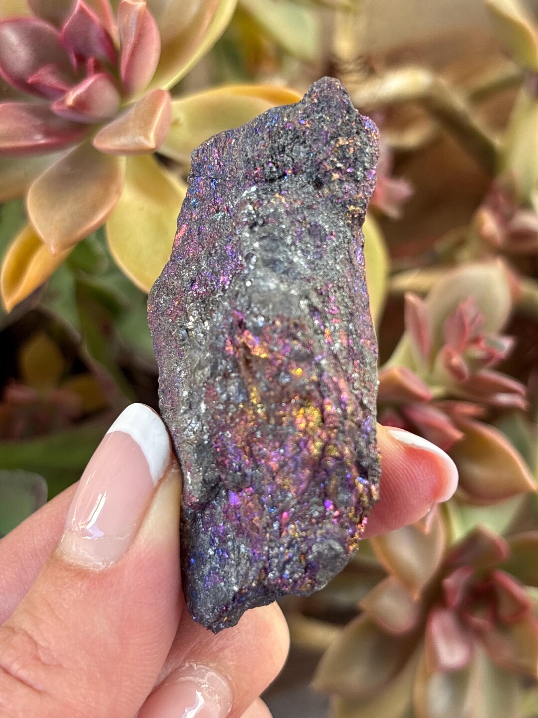 Dark Peacock Ore With Magenta & Gold Flash | Raw Bornite Crystal for ...