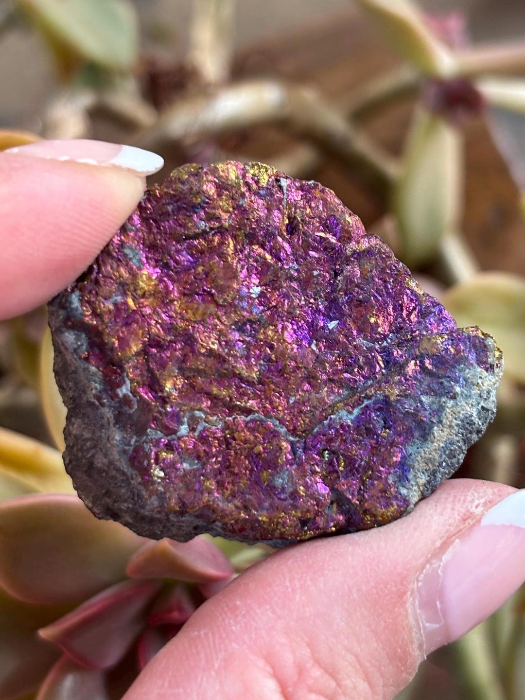 Iridescent Peacock Ore | Raw Bornite Crystal With Pink, Purple & Gold ...
