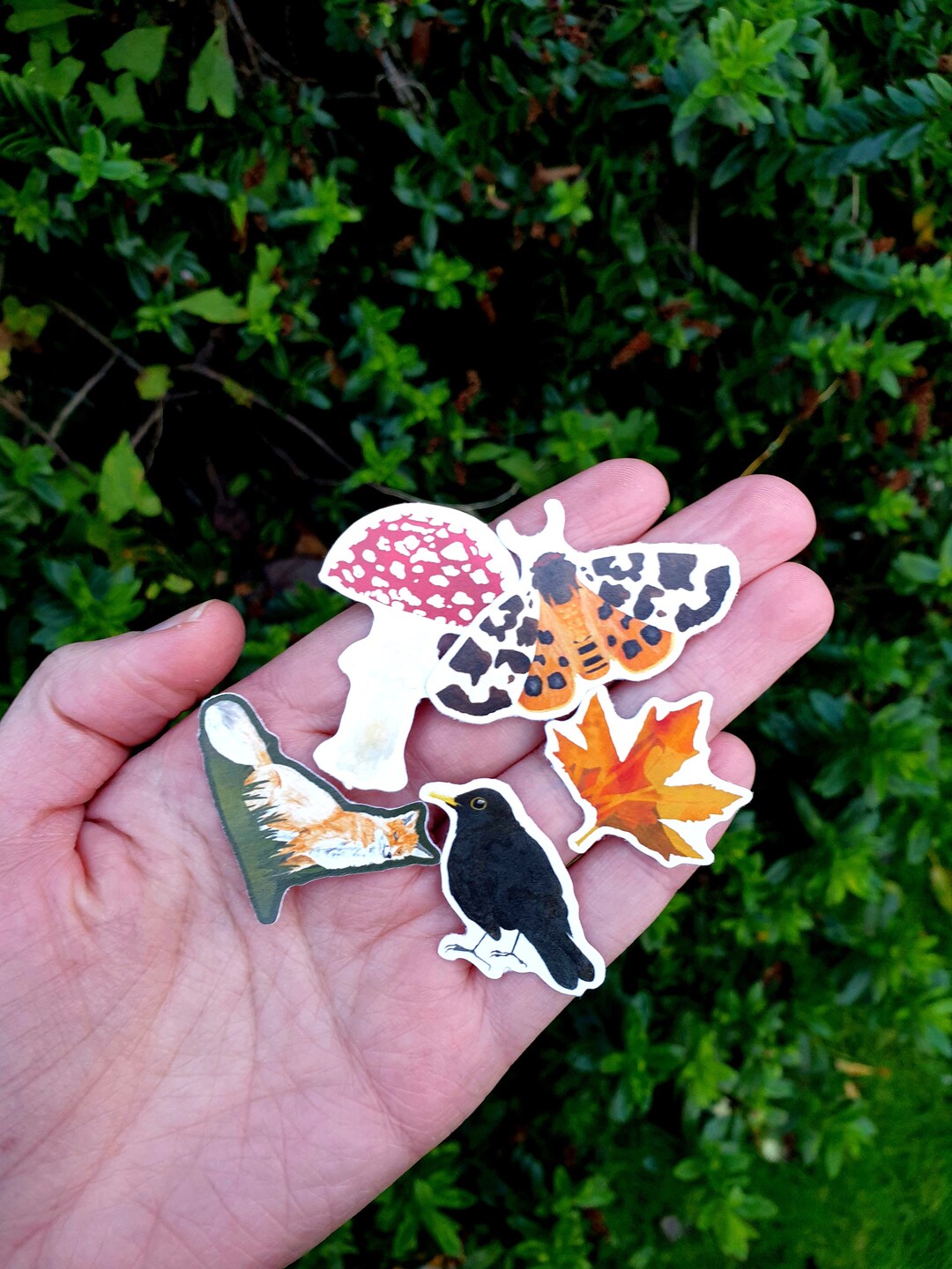 Mini Woodland Sticker Pack Includes: Moth Blackbird Fox - Etsy