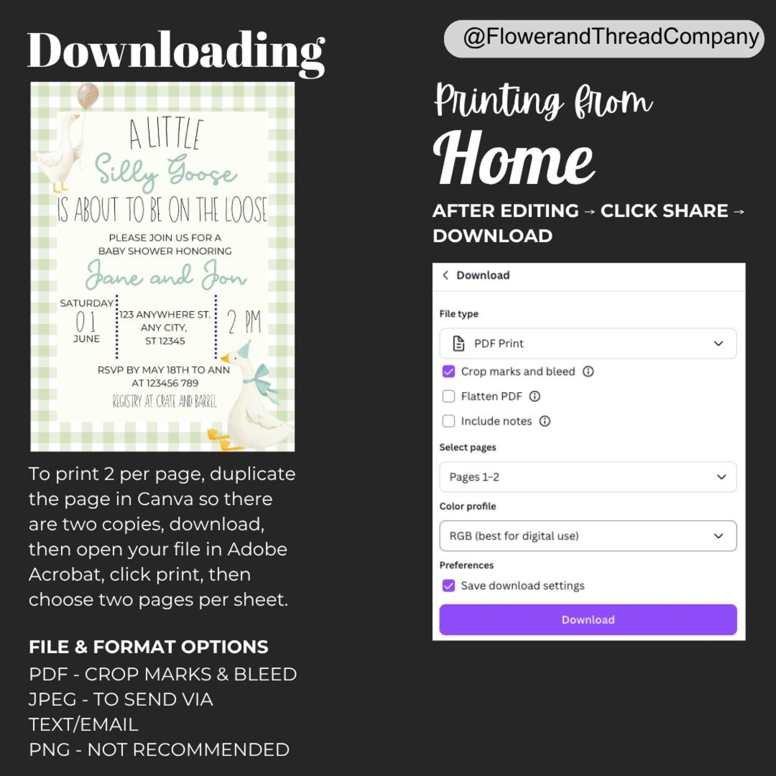 Silly Goose Baby Shower Invitation: Green Goose Theme | Digital Invite ...