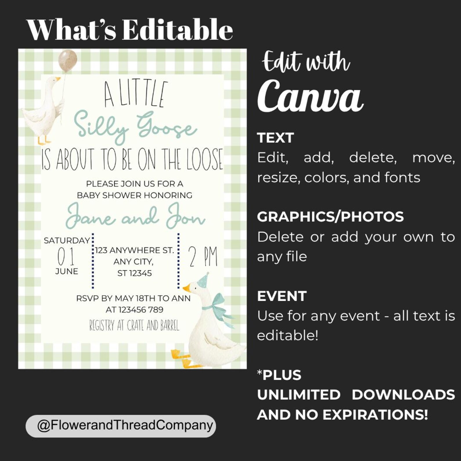 Silly Goose Baby Shower Invitation: Green Goose Theme | Digital Invite ...